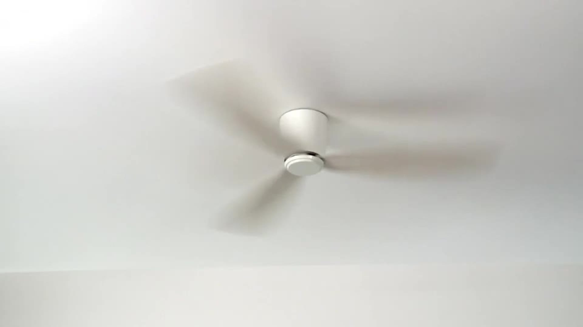 Lucci Air Radar 52" DC Ceiling Fan - Transitional - Ceiling Fans - by ...