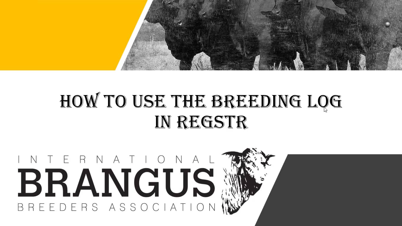 breeding log tutorial v1 on Vimeo