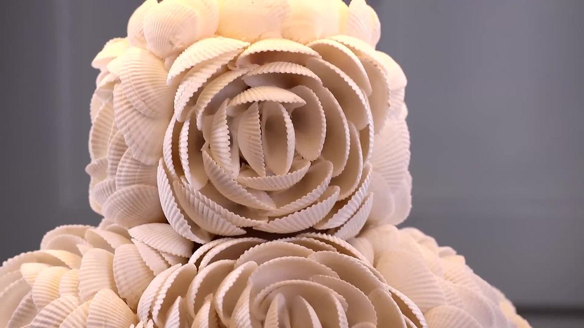 Seashell Rosette 24" LED Table Lamp, Cream - Beach Style - Table Lamps ...