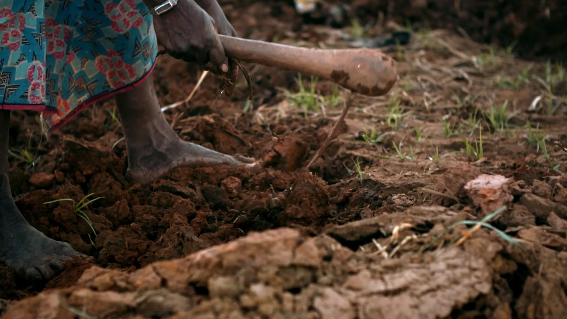 Grande Mayumba_h264.mp4 on Vimeo