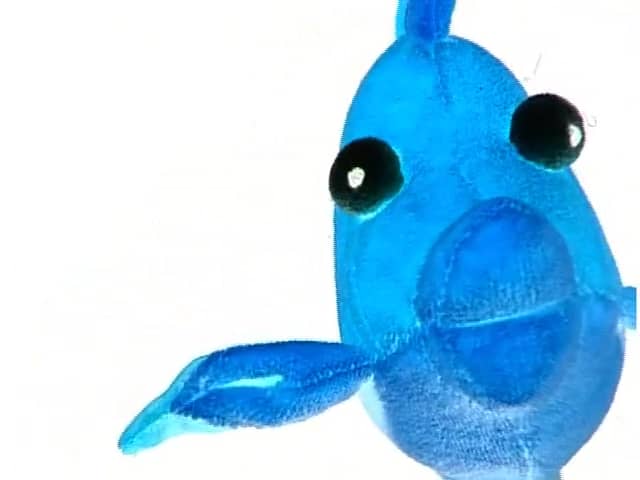 Baby Neptune in G Major [Part 1] on Vimeo