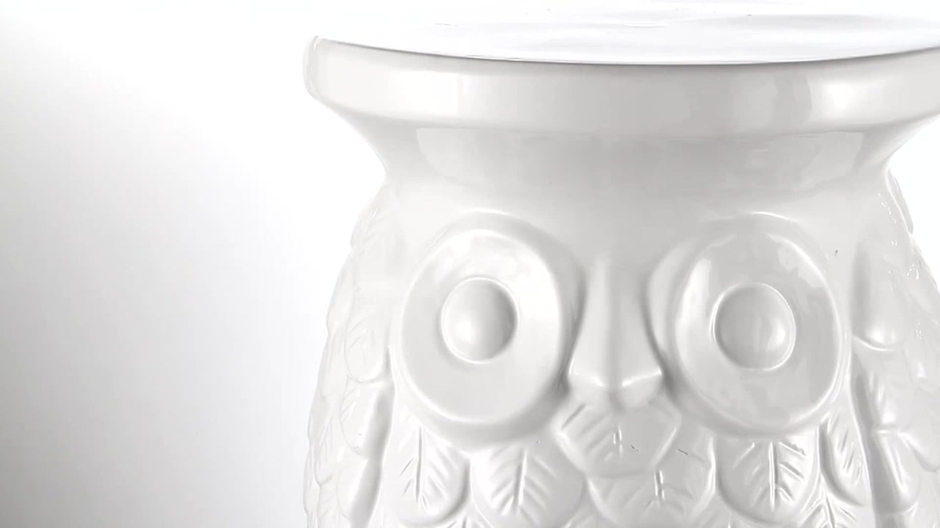 Groovy Owl 17.5" Ceramic Garden Stool, White - Rustic - Accent And ...