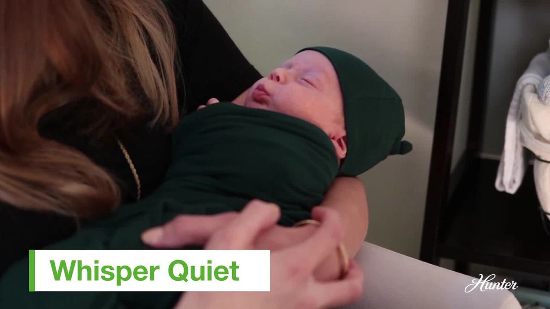 Hunter Fan Company 44" Dempsey Low Profile Ceiling Fan With Light ...