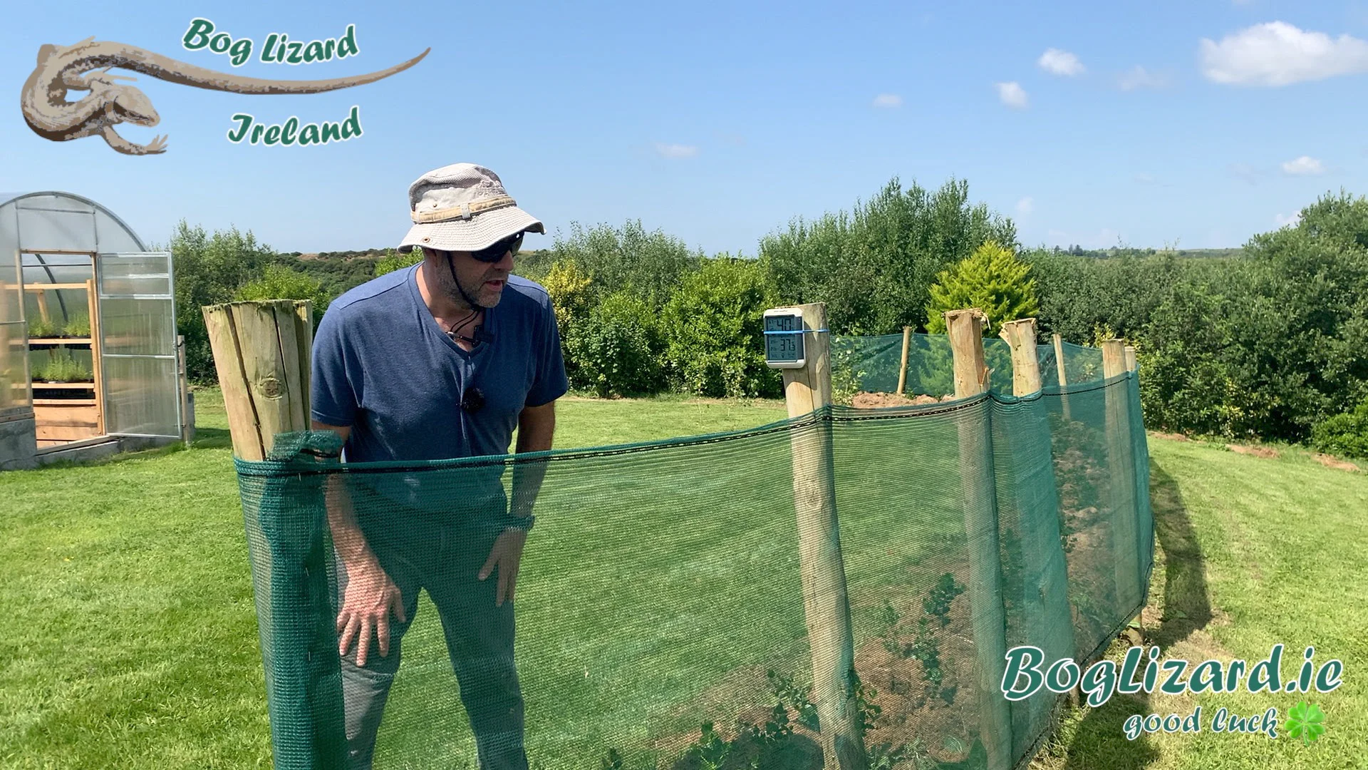 Bog Lizard - Climate change - Ireland and the July 2021 Heatwave on Vimeo