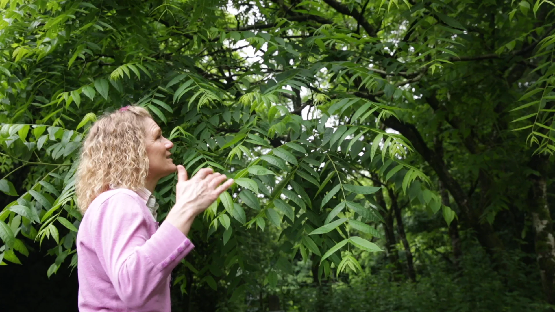 OATPP film 1 of 20 - Devon Ash by Sarah Connor on Vimeo