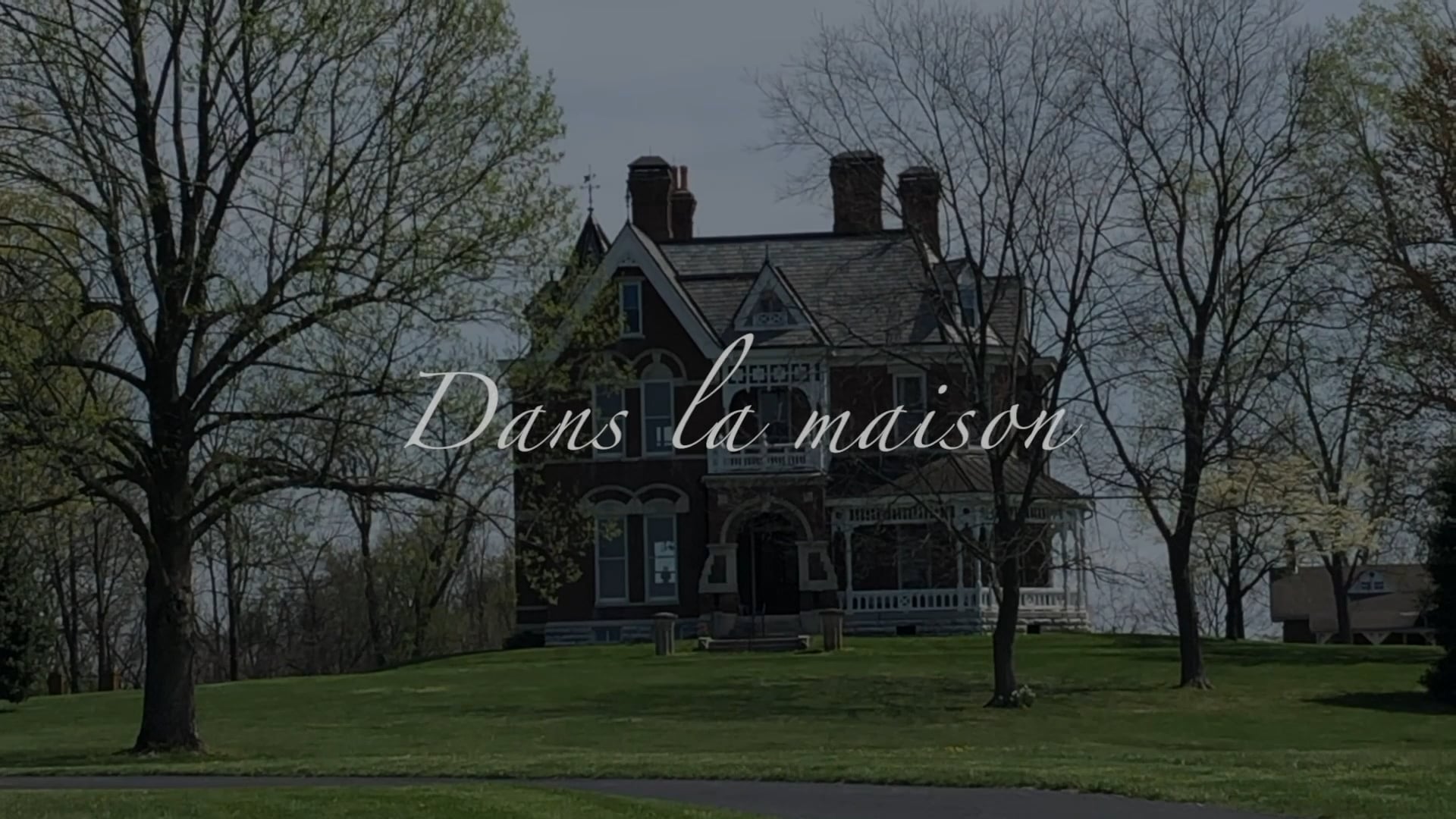 Video | Kleine Powell