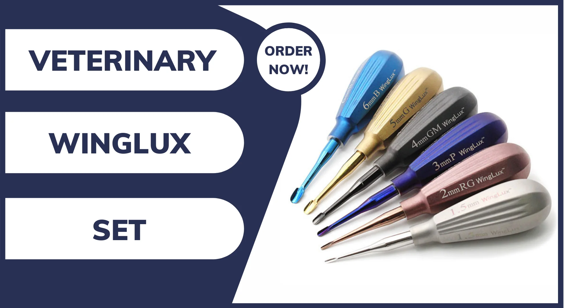 WingLux Set | Veterinary Dental Instruments by GerVetUSA on Vimeo