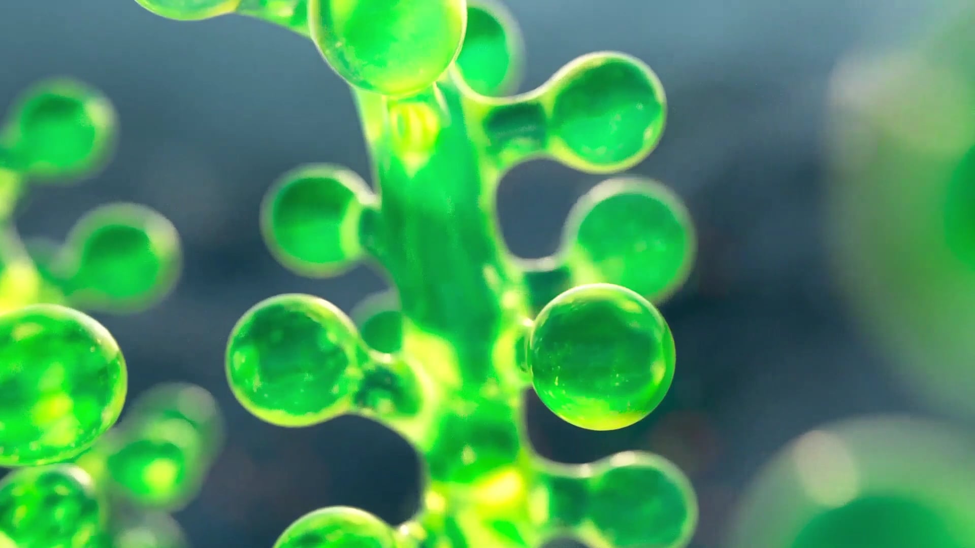 Bionyti_Soft_1 on Vimeo