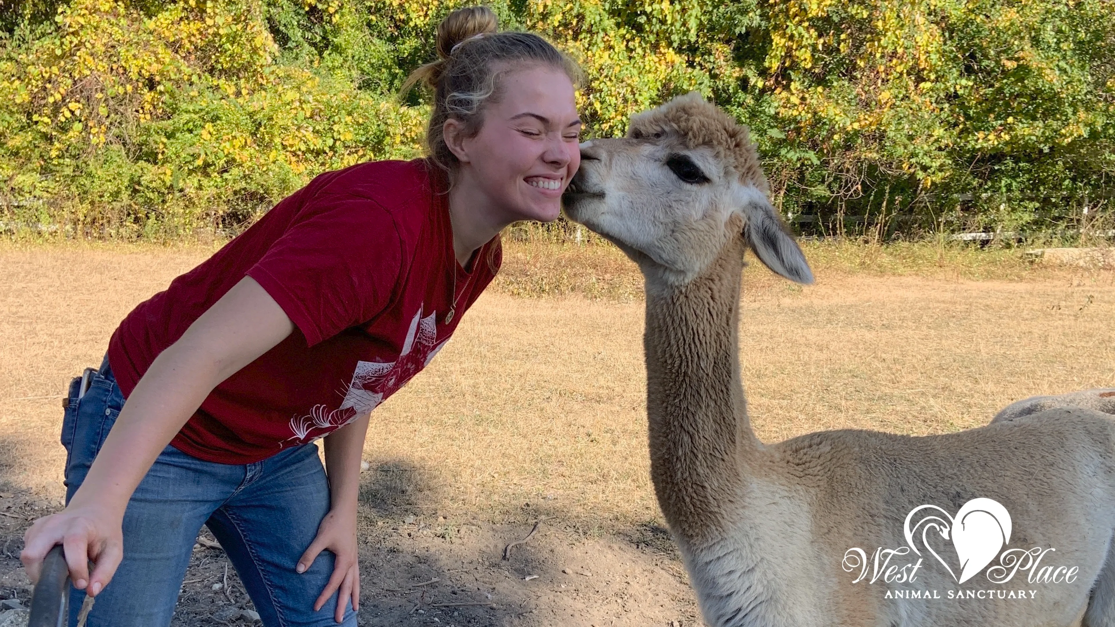 Lilly Hanson_West Place Intern_V1.mp4 on Vimeo