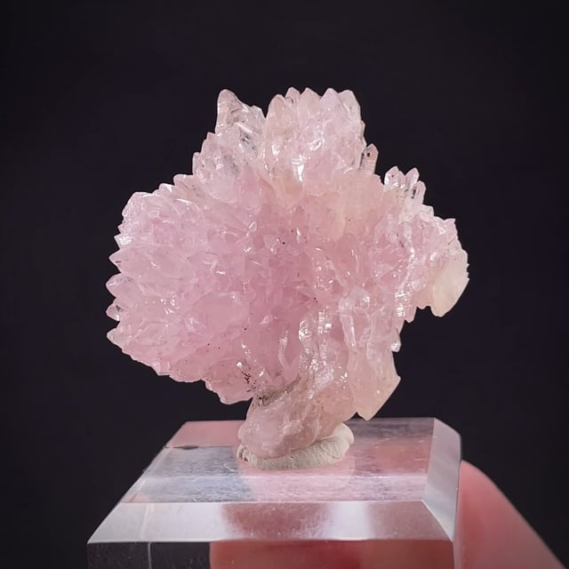 Quartz var. Rose ex Hauck collection | Galileia, Minas Gerais, Brazil