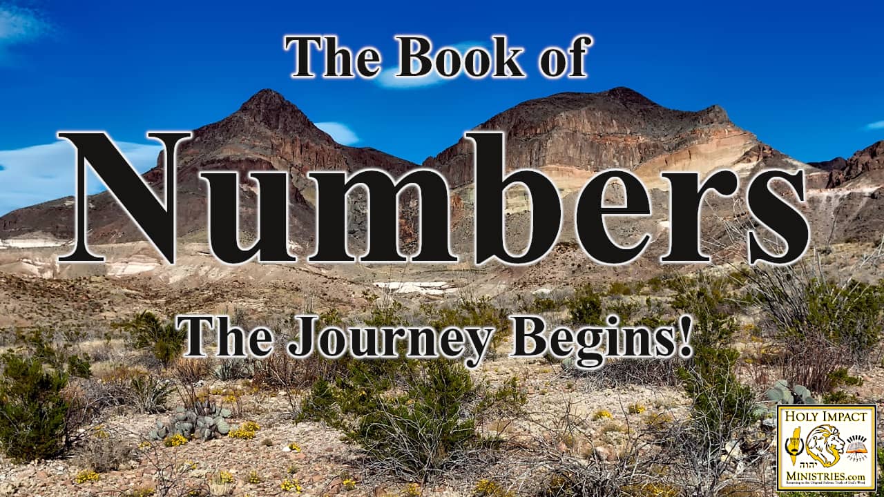 The Book of Numbers Chapter 2 The Camping and Marching Orders on Vimeo