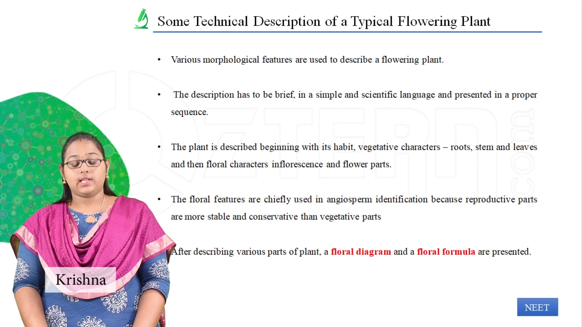 Technical Description on Vimeo