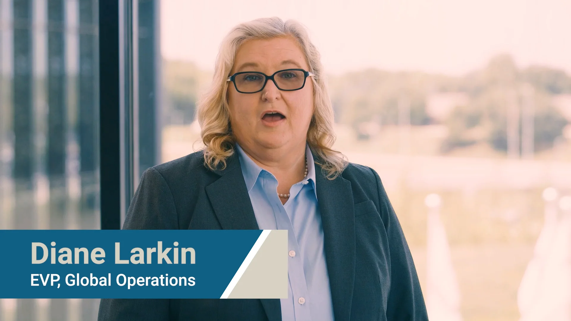 Diane Larkin - PV on Vimeo