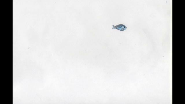 Fish on Vimeo