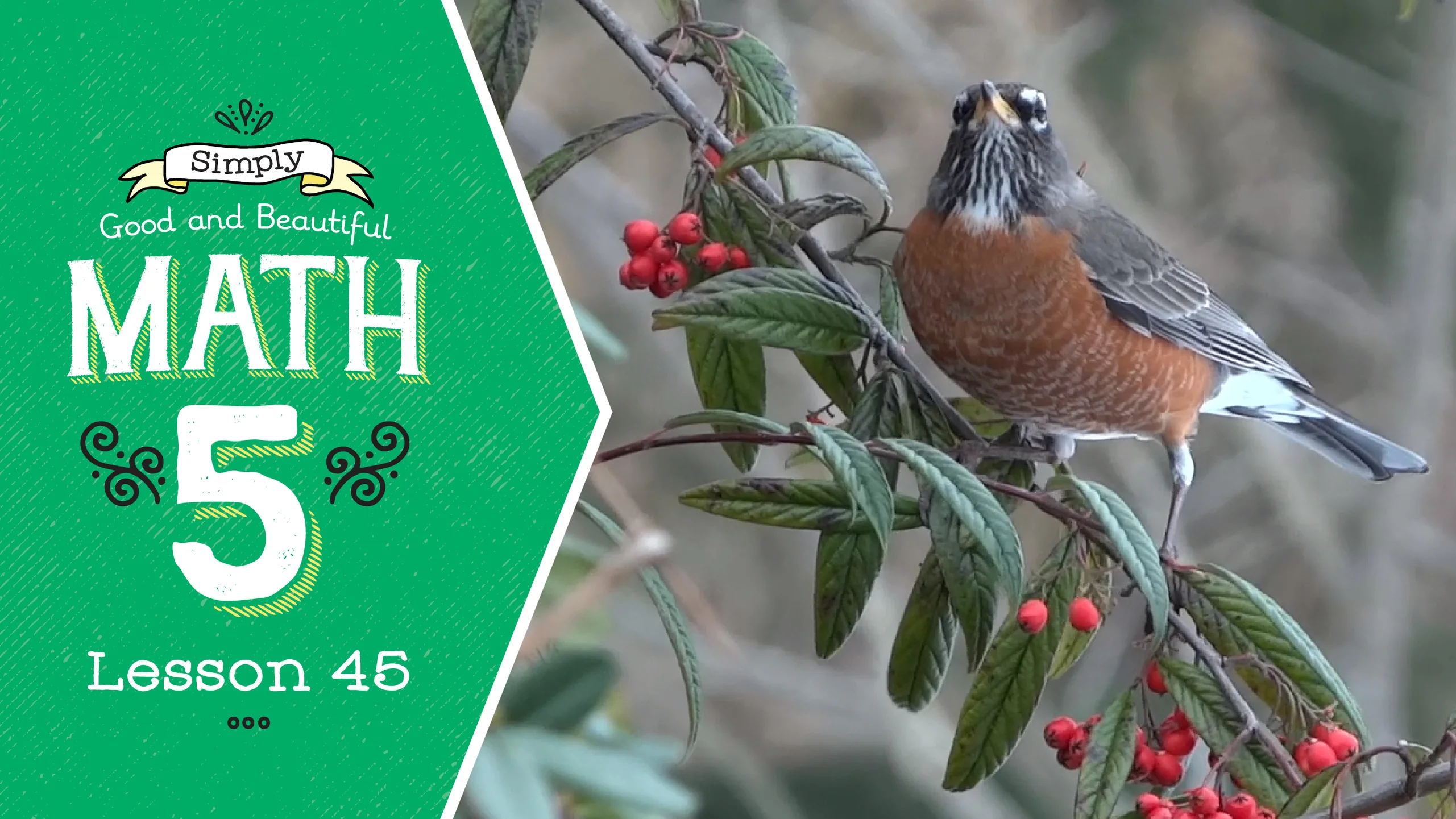 Lesson 45 | Simply Good and Beautiful Math 5