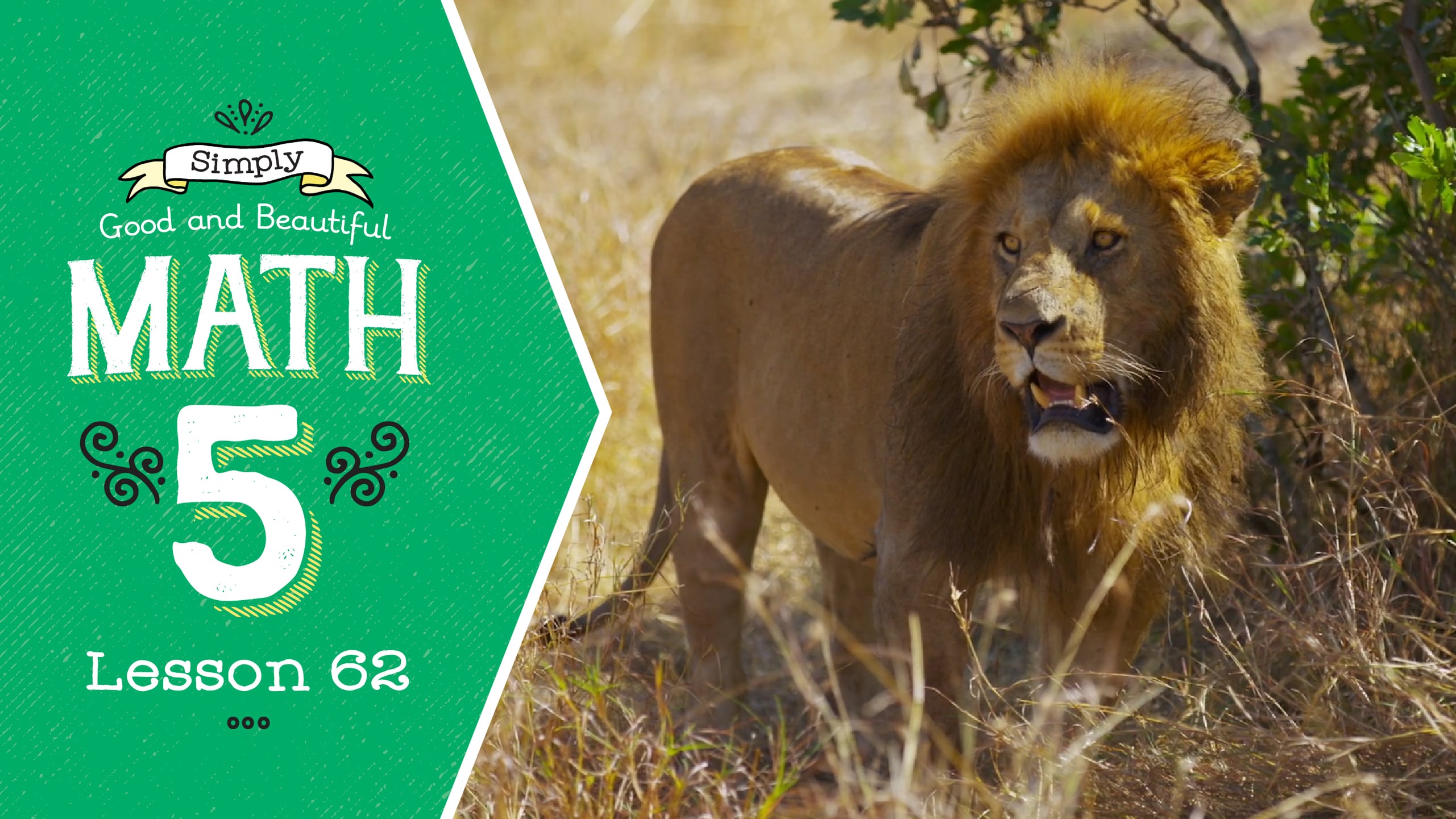 Lesson 62 | Simply Good and Beautiful Math 5 on Vimeo