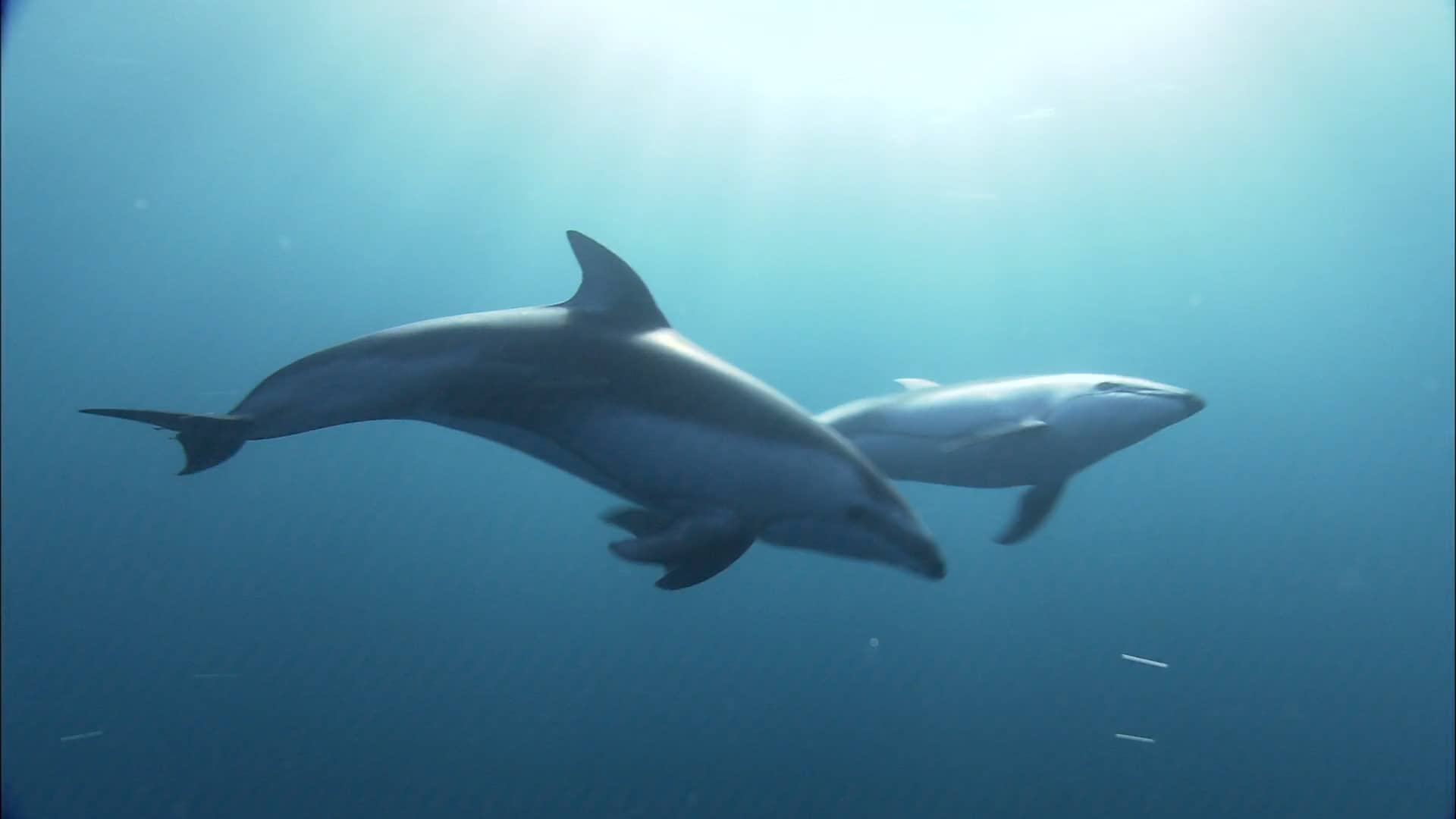 Sonic Sea - Trailer on Vimeo