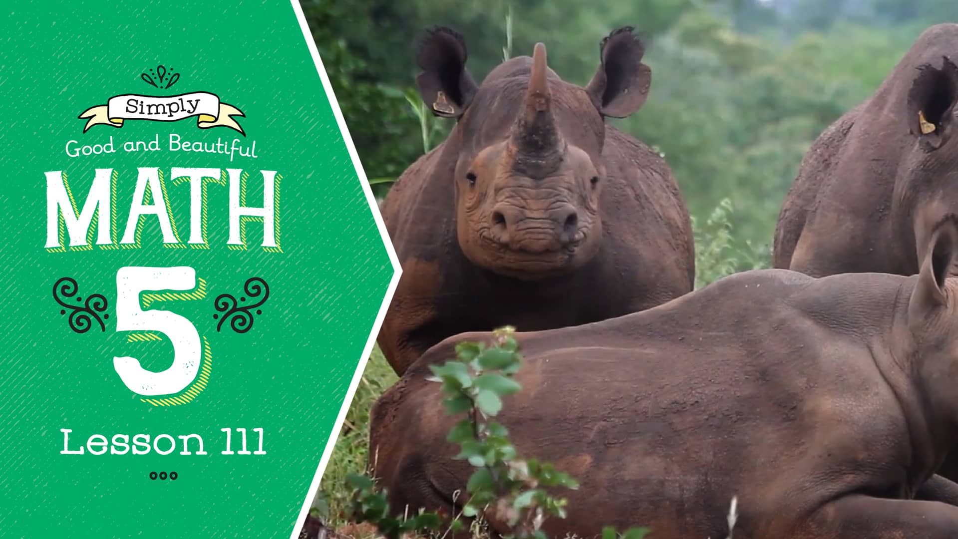 Lesson 111 | Simply Good and Beautiful Math 5 on Vimeo