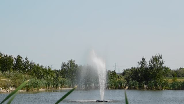 Nature, Water, Fountain. Free Stock Video - Pixabay