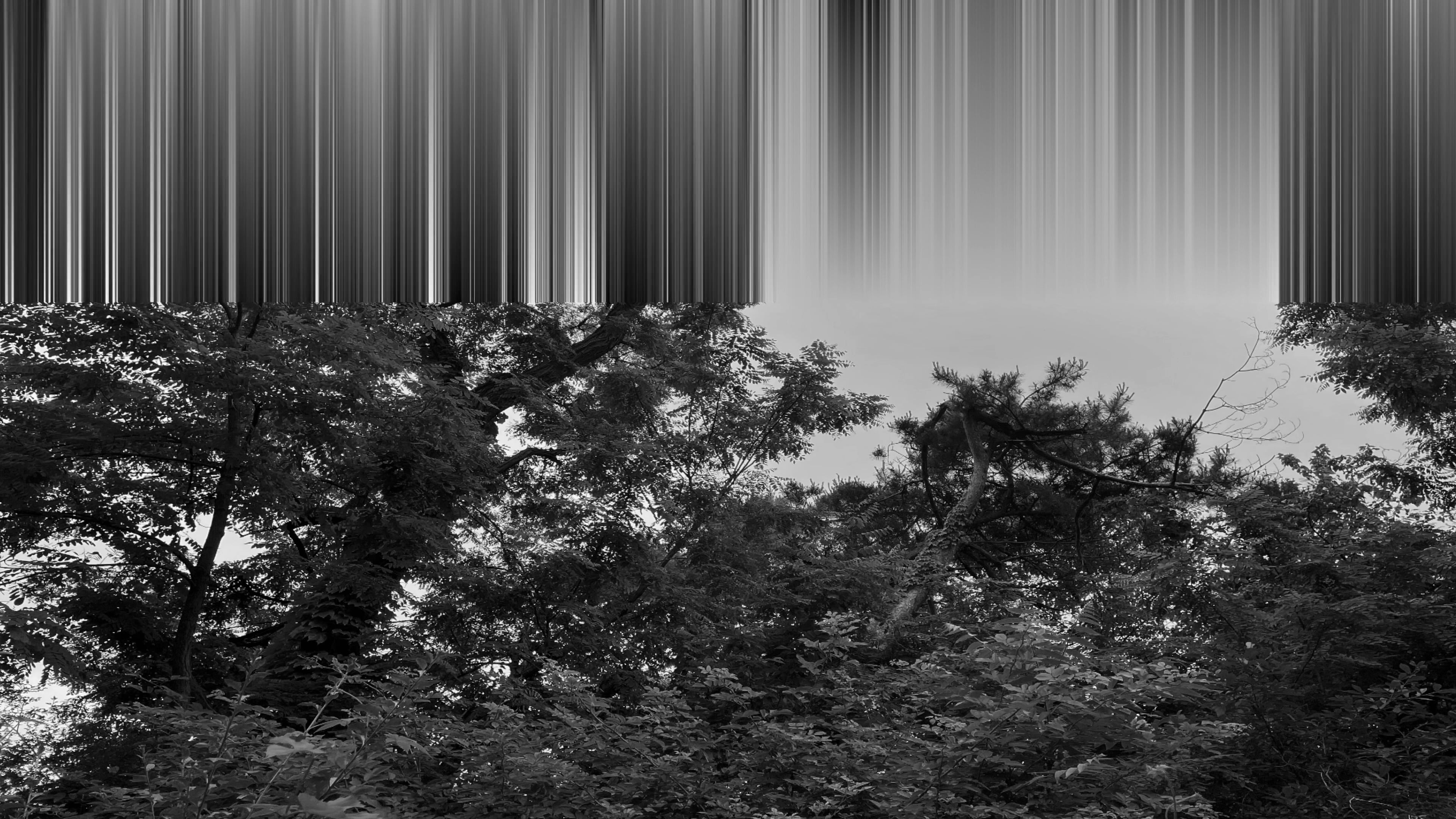 [ musing forest ] June 2021 ©GRAYCODE on Vimeo