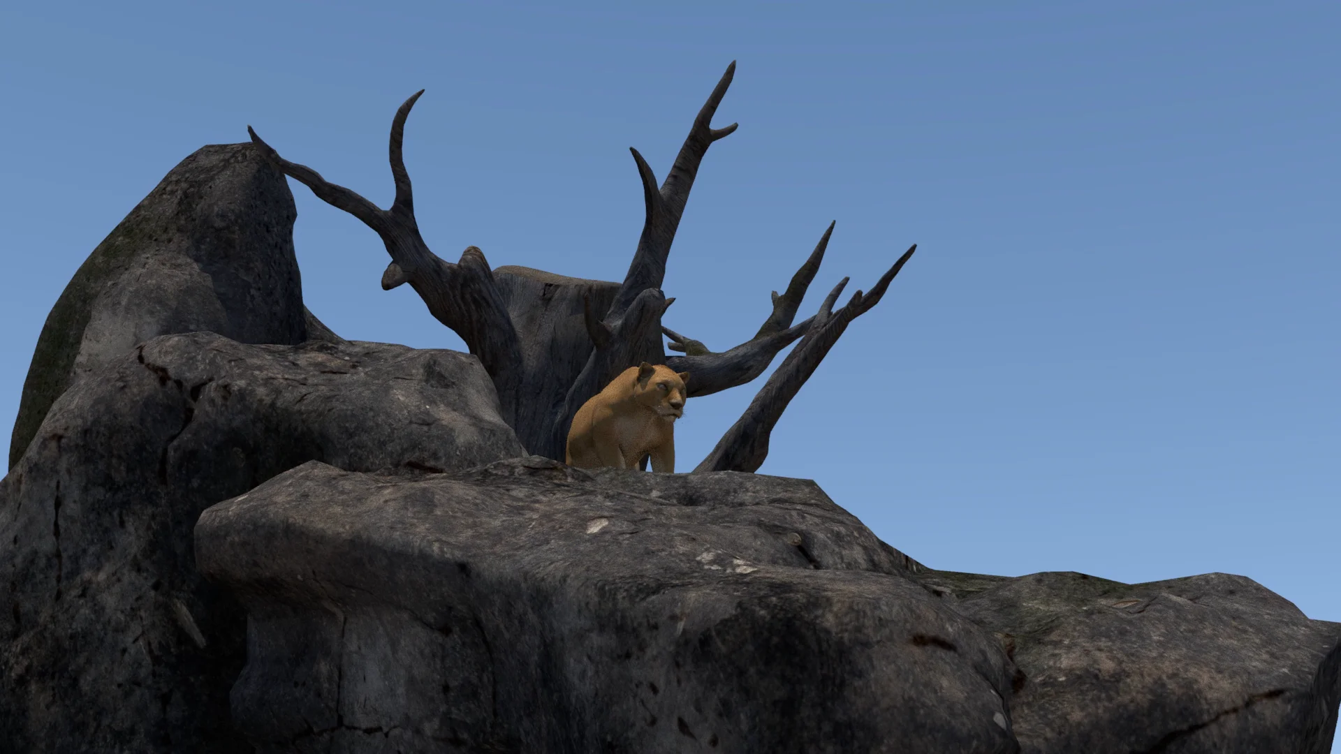 Big_cat_animation on Vimeo