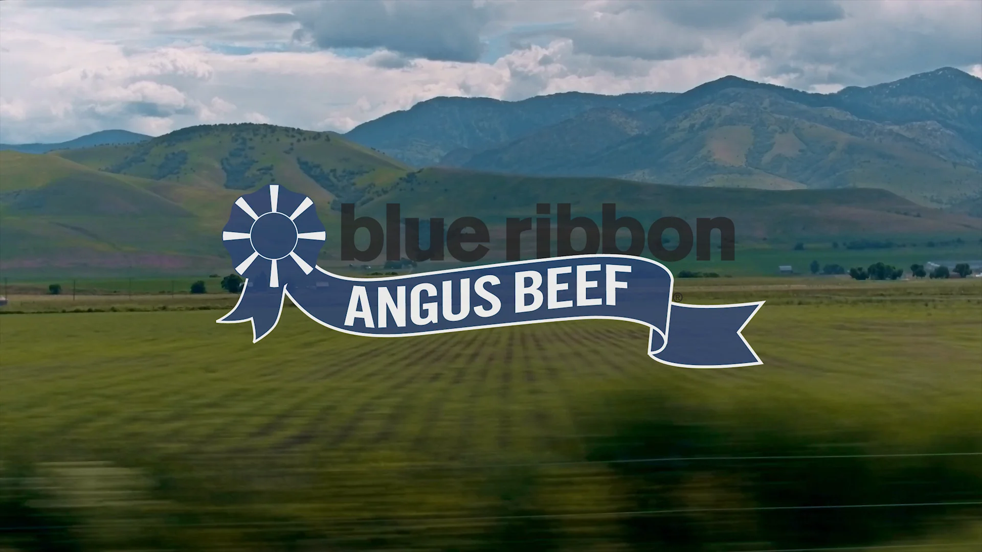 Blue Ribbon Angus Beef on Vimeo
