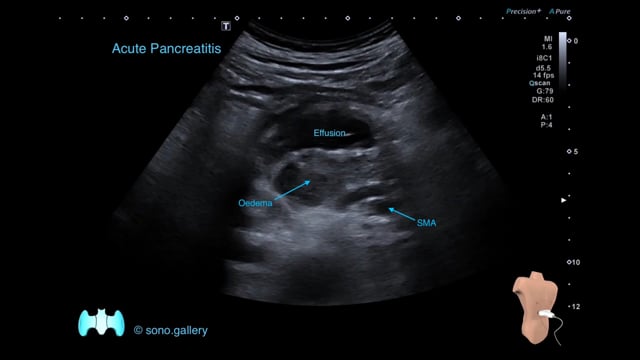 SONO.GALLERY - Page 3 of 122