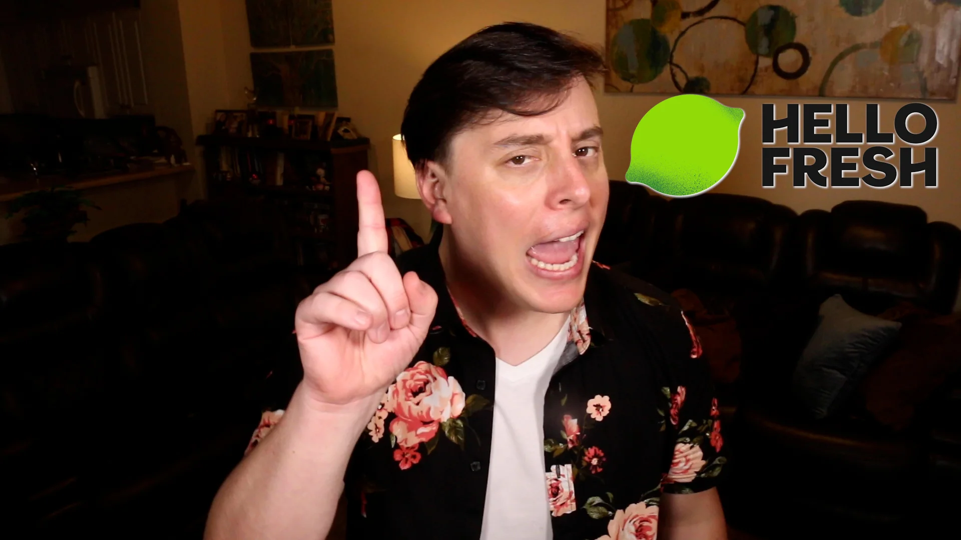 Thomas Sanders HelloFresh Promo on Vimeo