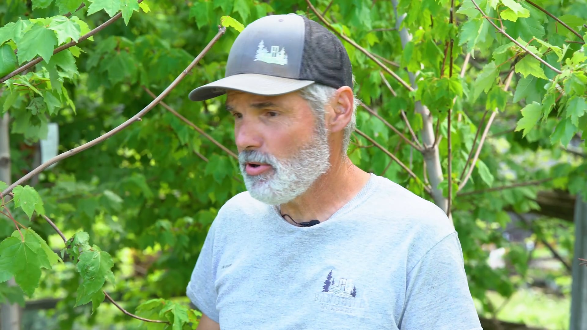 TERRY-2-MAPLES-FULL FRAME.mp4 on Vimeo