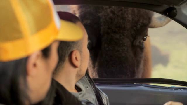 State Farm "Buffalo" on Vimeo