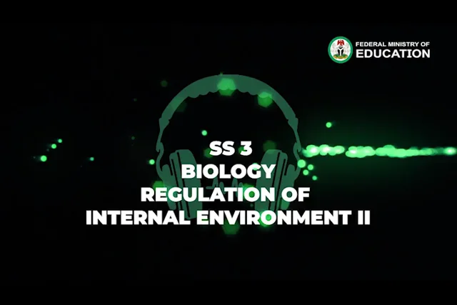 Internal Environment Biology