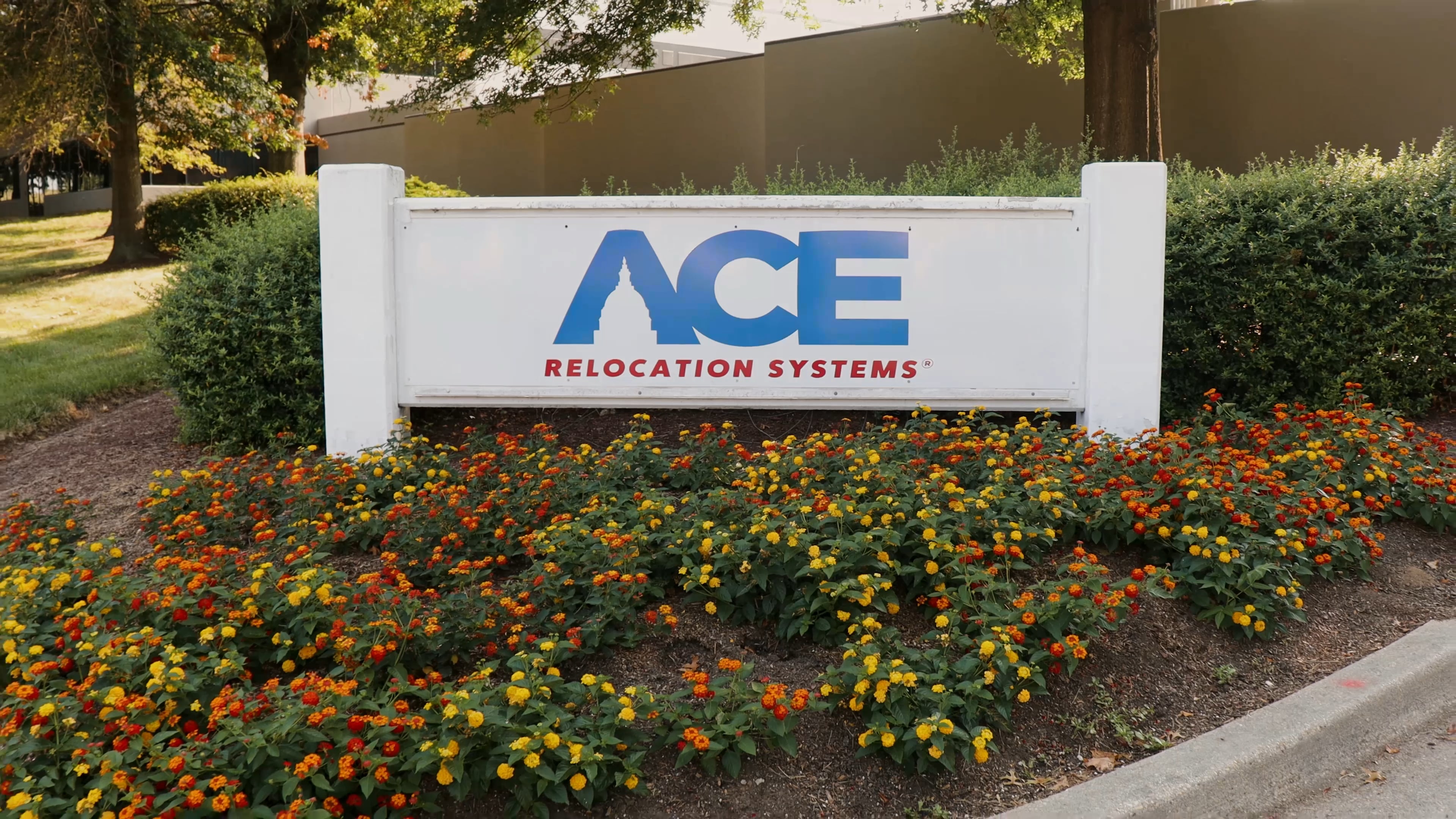 Ace Relocation Video Reel on Vimeo