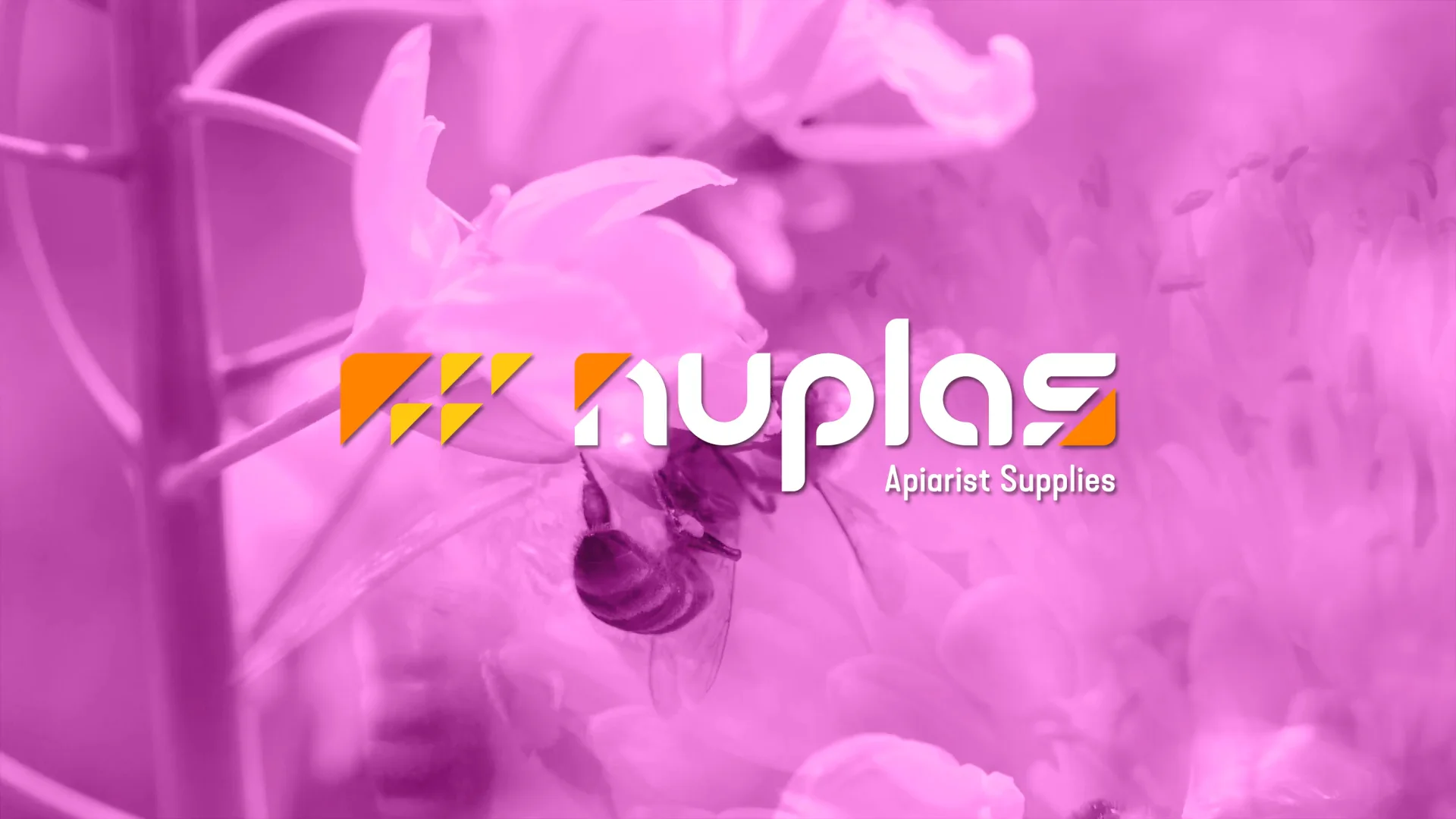 NUPLAS_Advert_02_Pink_Bees_Beehive_1080p_v1 on Vimeo