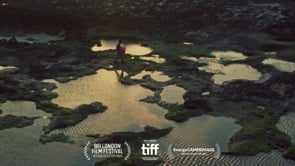 The Vimeo Short Film Channel on Vimeo