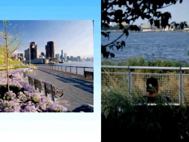 Stuyvesant Cove Park • Floating Pool on Vimeo