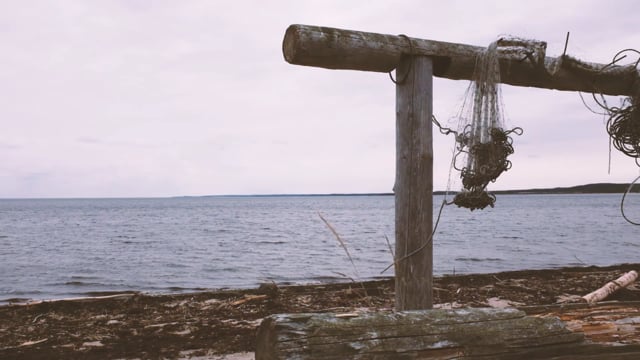 Mer Russie La Du Nord - Free video on Pixabay - Pixabay