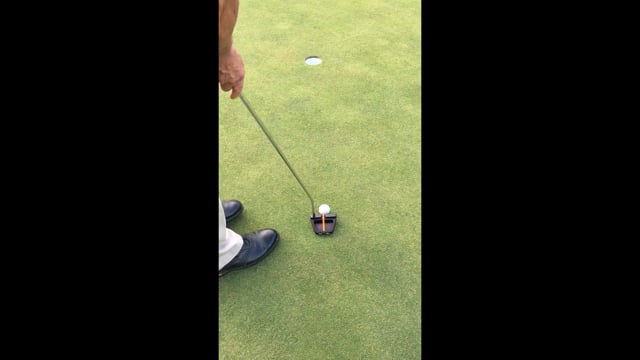 Conforming Toe Balanced Camelback Putter (Red Centerline) - AcuAim Golf ...