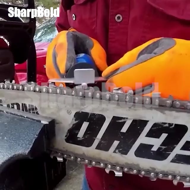 SharpBold_video-1.mp4 on Vimeo