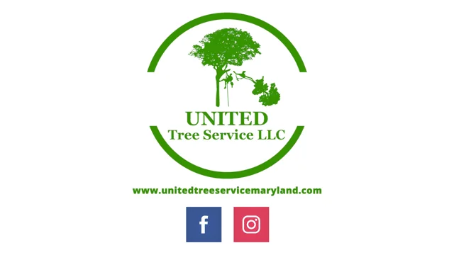 Green Tree Servicing Llc