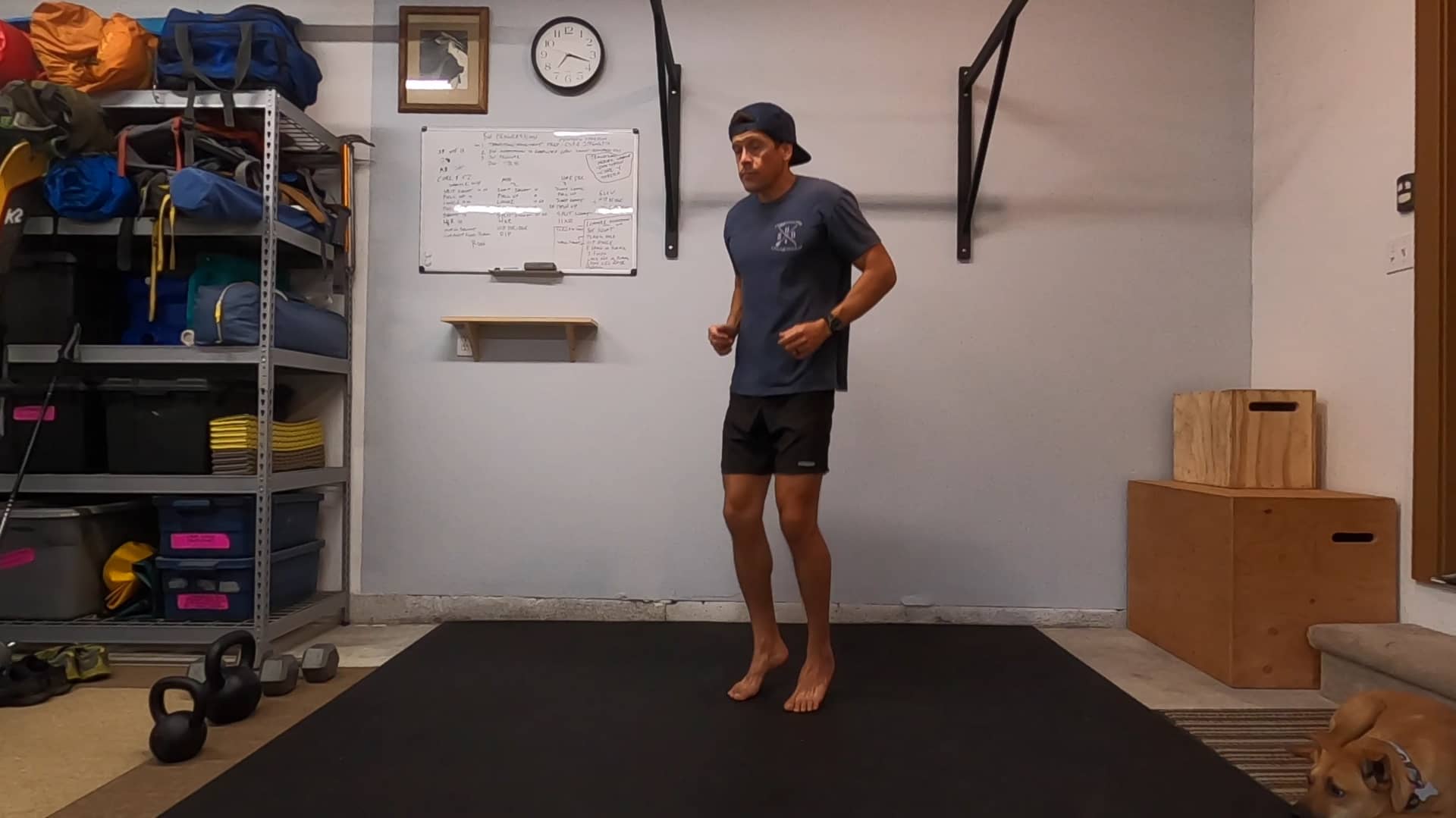 Calf Hops on Vimeo