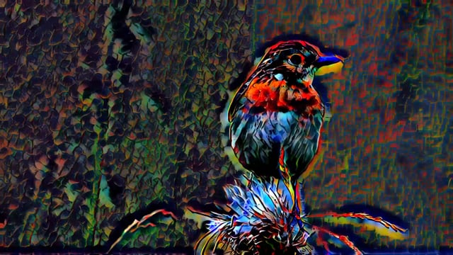 Abstract Psychedelic Lsd - Free video on Pixabay