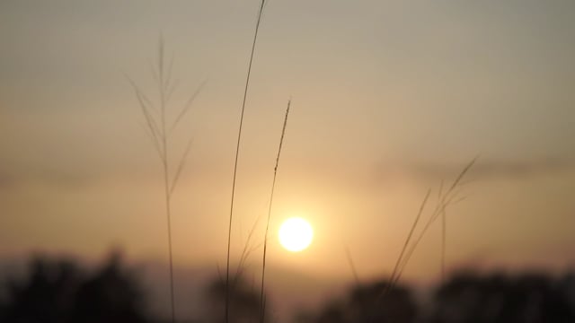 Lever Du Soleil Matin - Free video on Pixabay
