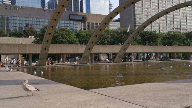 Toronto Ontario Canada Free Stock Video - Pixabay