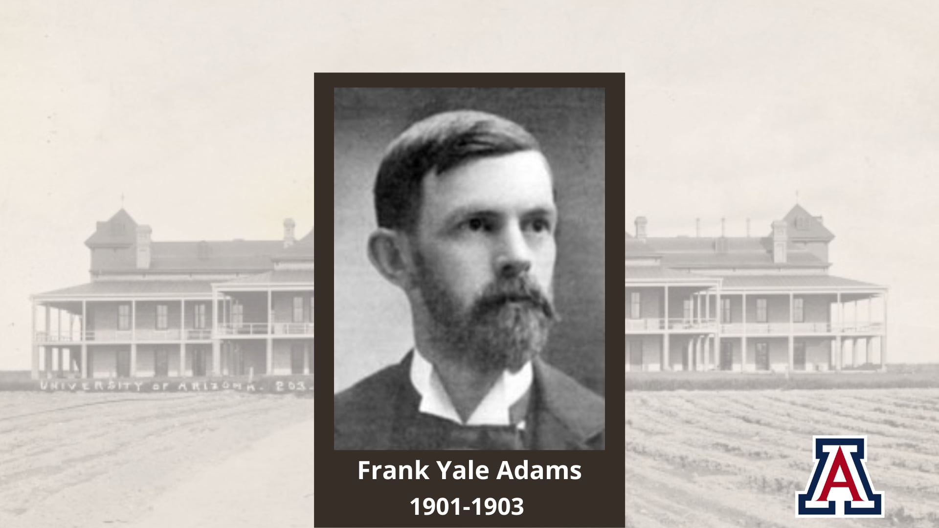 Frank Yale Adams on Vimeo