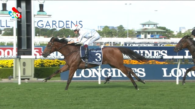 Farnan - Stallion | Breednet