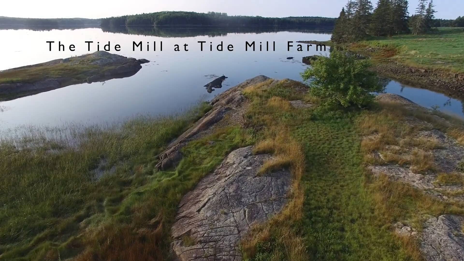 Tide Mill at Tide Mill Farm on Vimeo