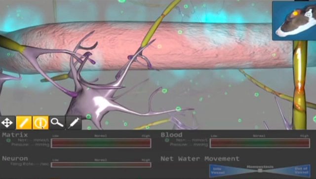 IS3D Documentary on Vimeo