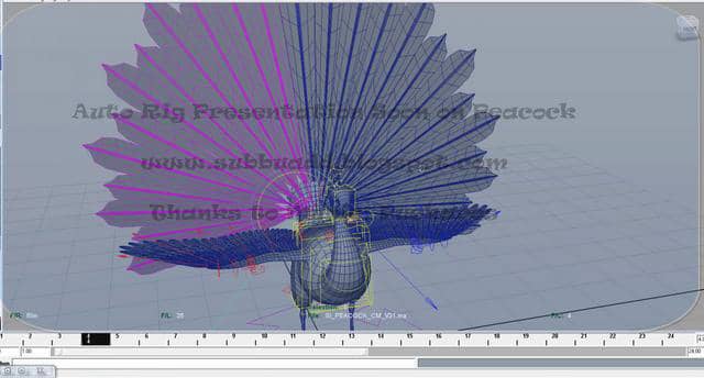 as_EasyBird : Auto Bird Rigging: Presentation On Tail Controls on Vimeo