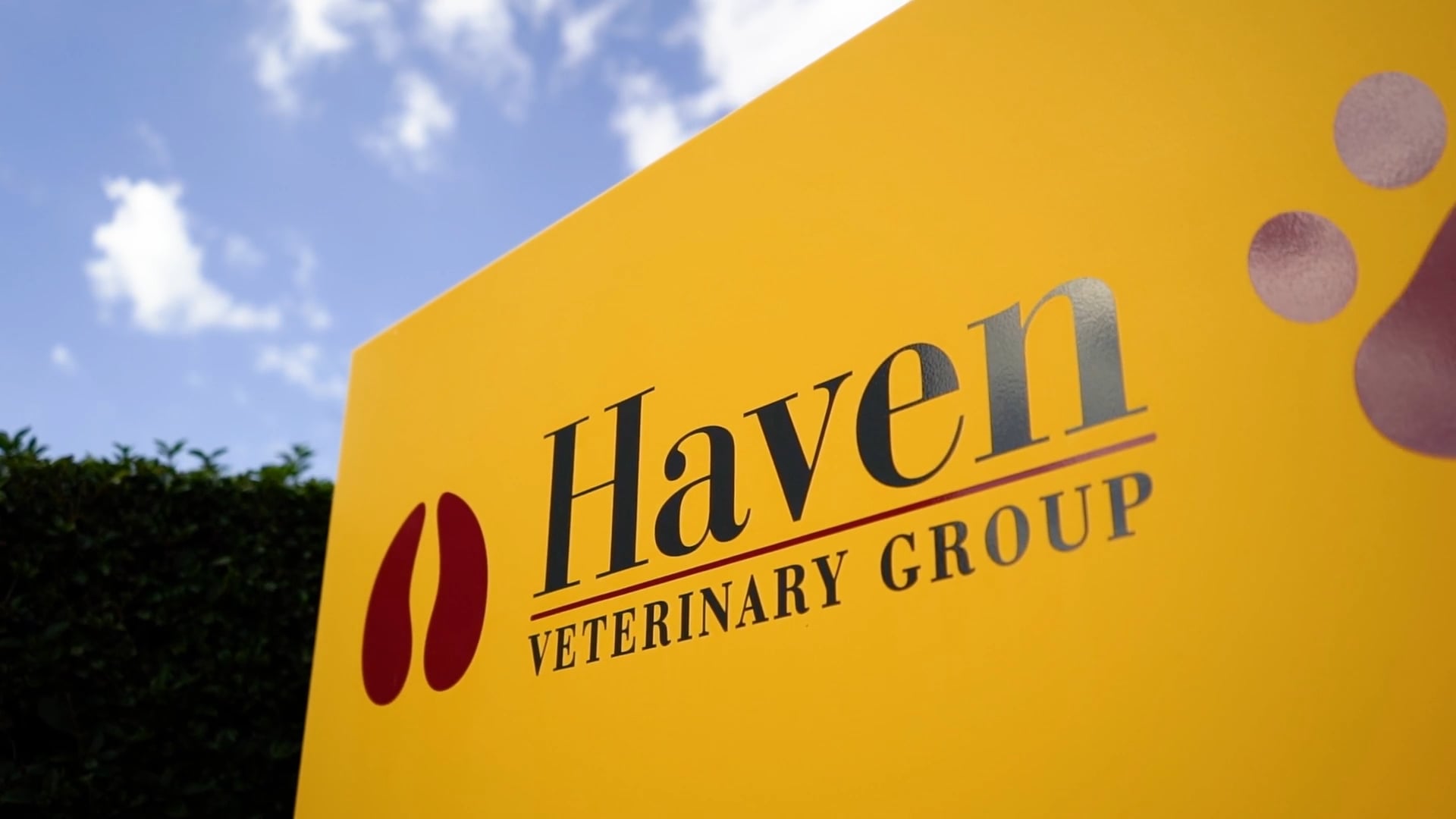 Haven Veterinary Group on Vimeo