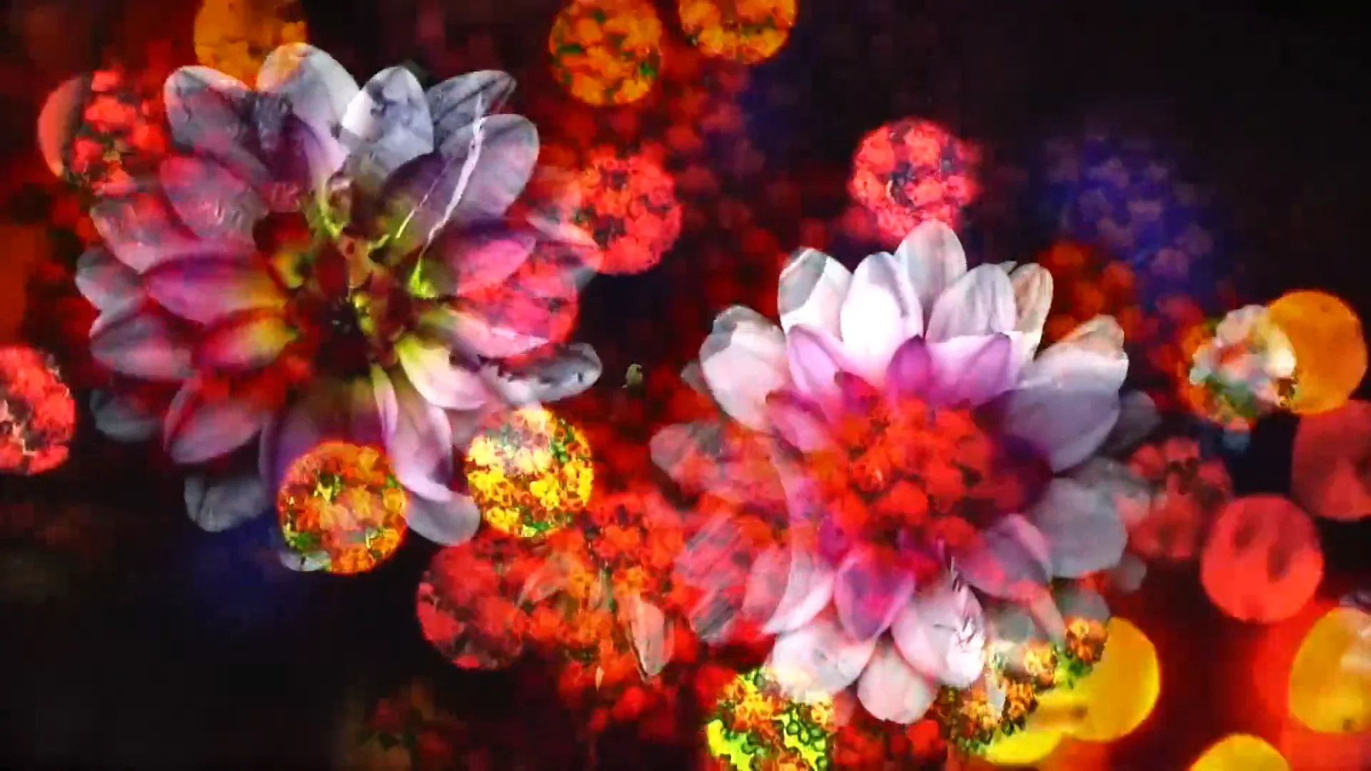 Flowers on Vimeo